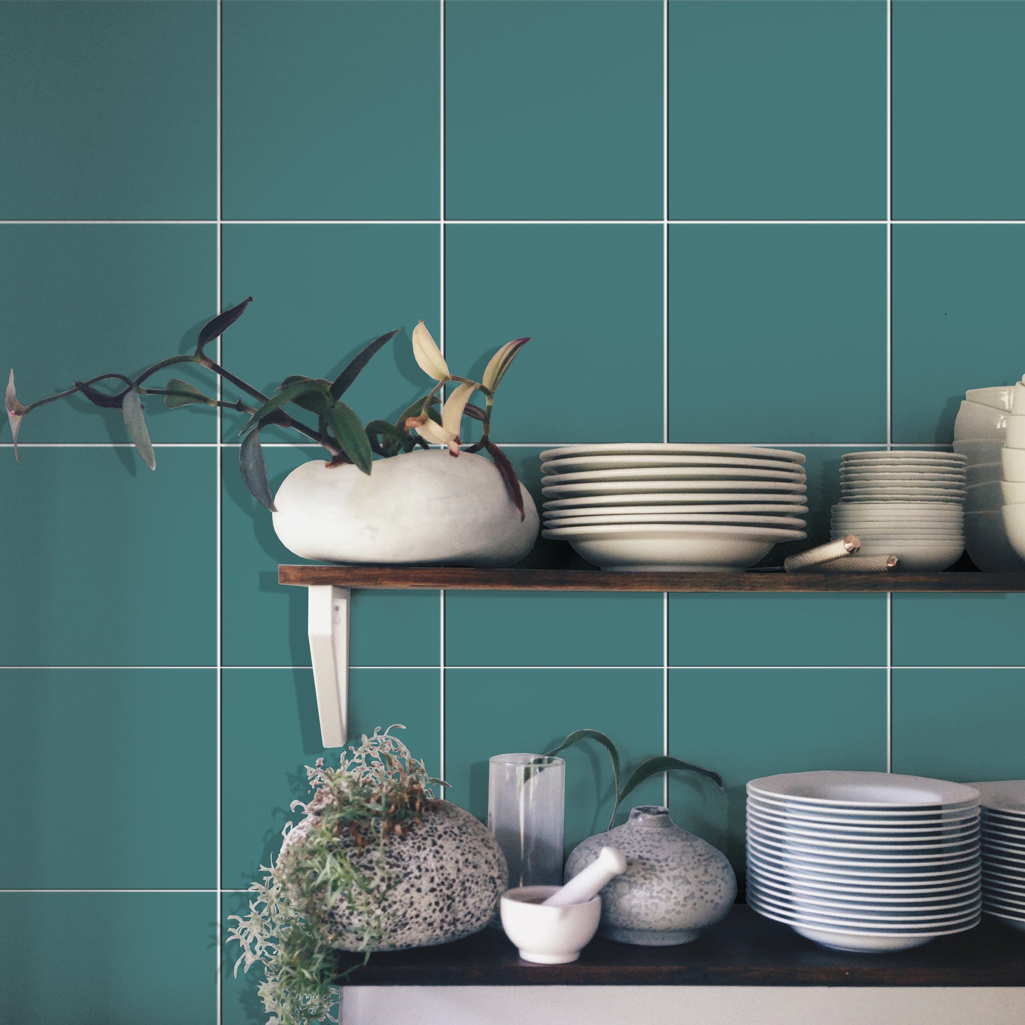 Solid Color: The Greens